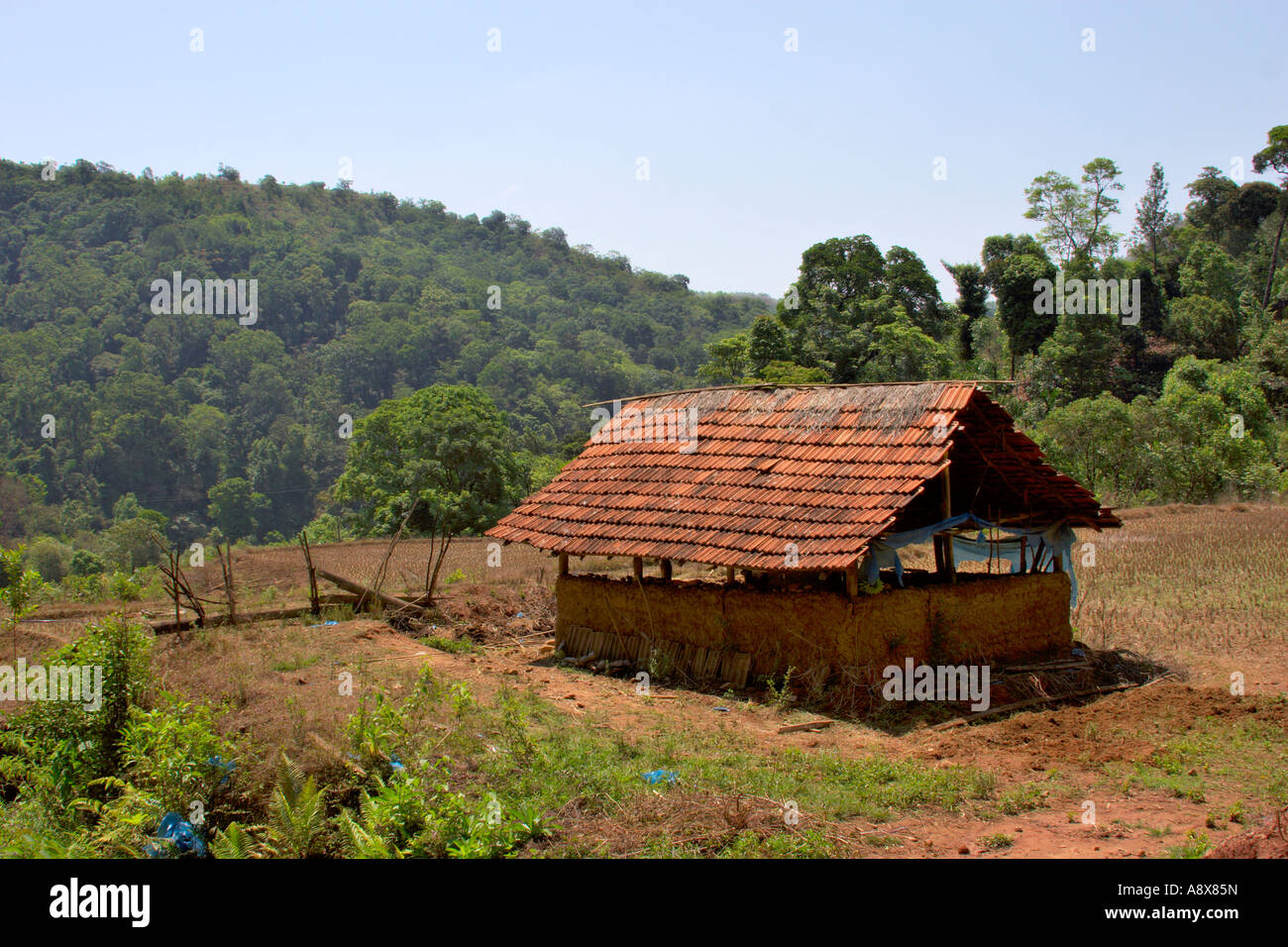 Indian hut in the jungle near Madikeri India Stock Photo - Alamy