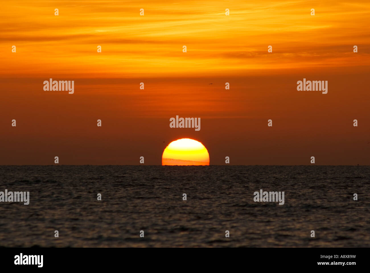 The Spring Sun rising over the Suffolk Coast Stock Photo - Alamy