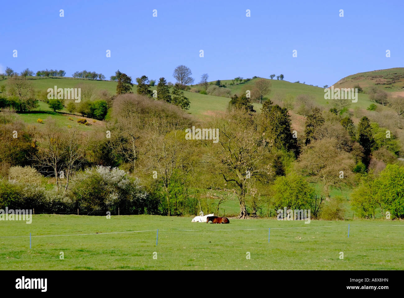 shropshire hills cardington midlands england uk Stock Photo - Alamy