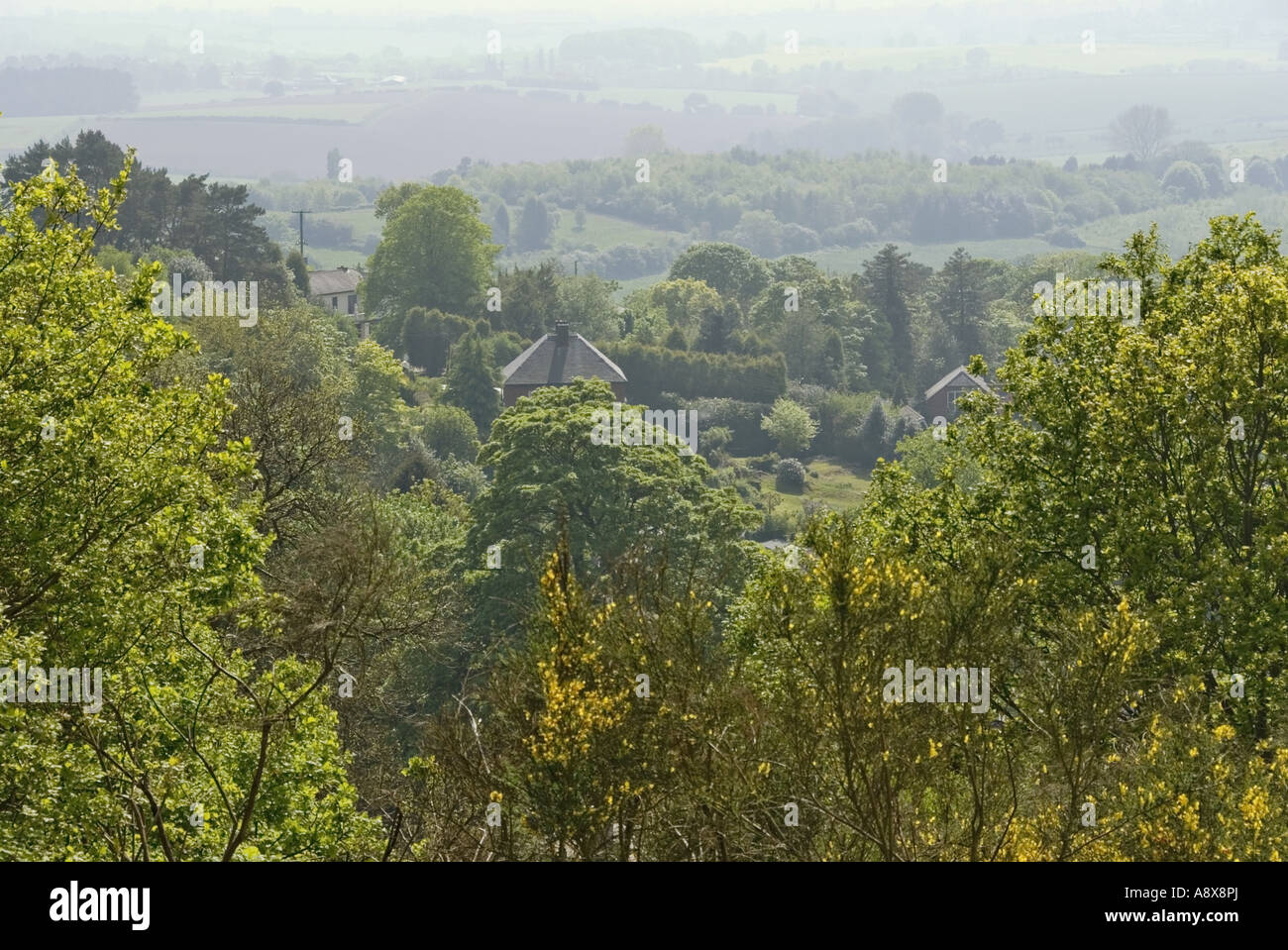 clent hills worcestershire the midlands england uk Stock Photo - Alamy