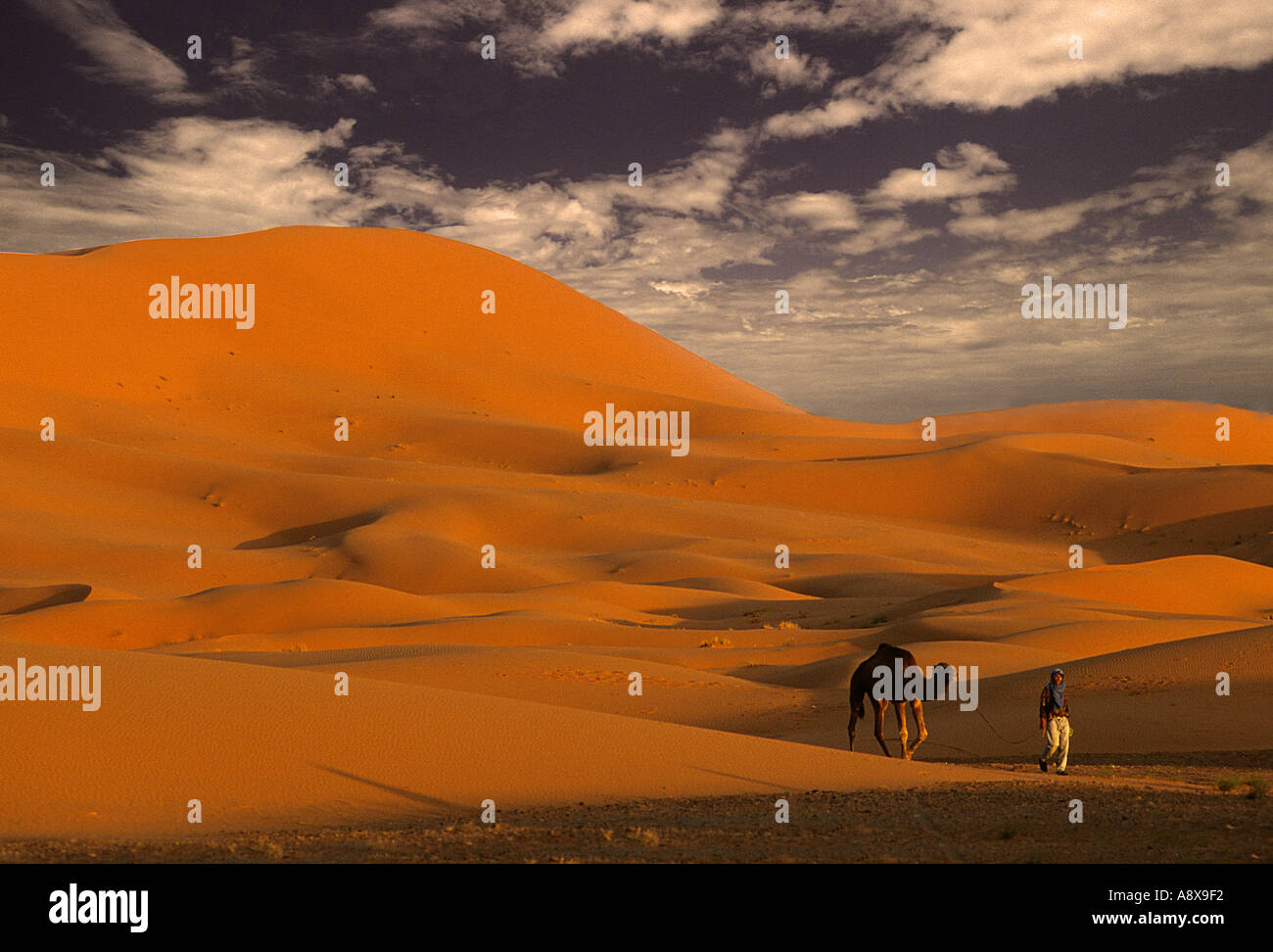 South Morocco scene in the Sahara Stock Photo - Alamy