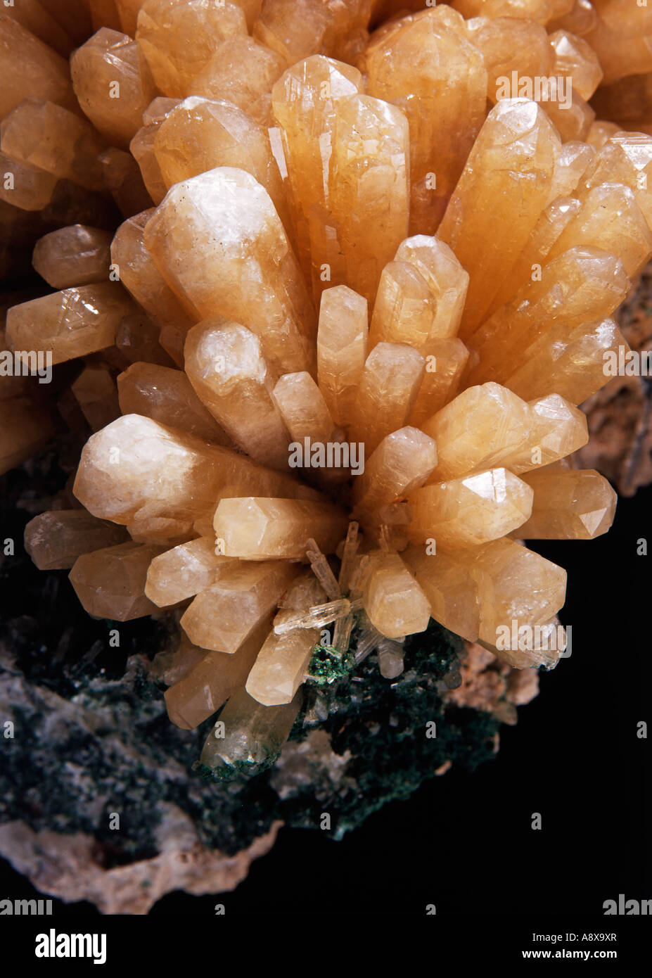 Aragonite calcium carbonate hi-res stock photography and images - Alamy