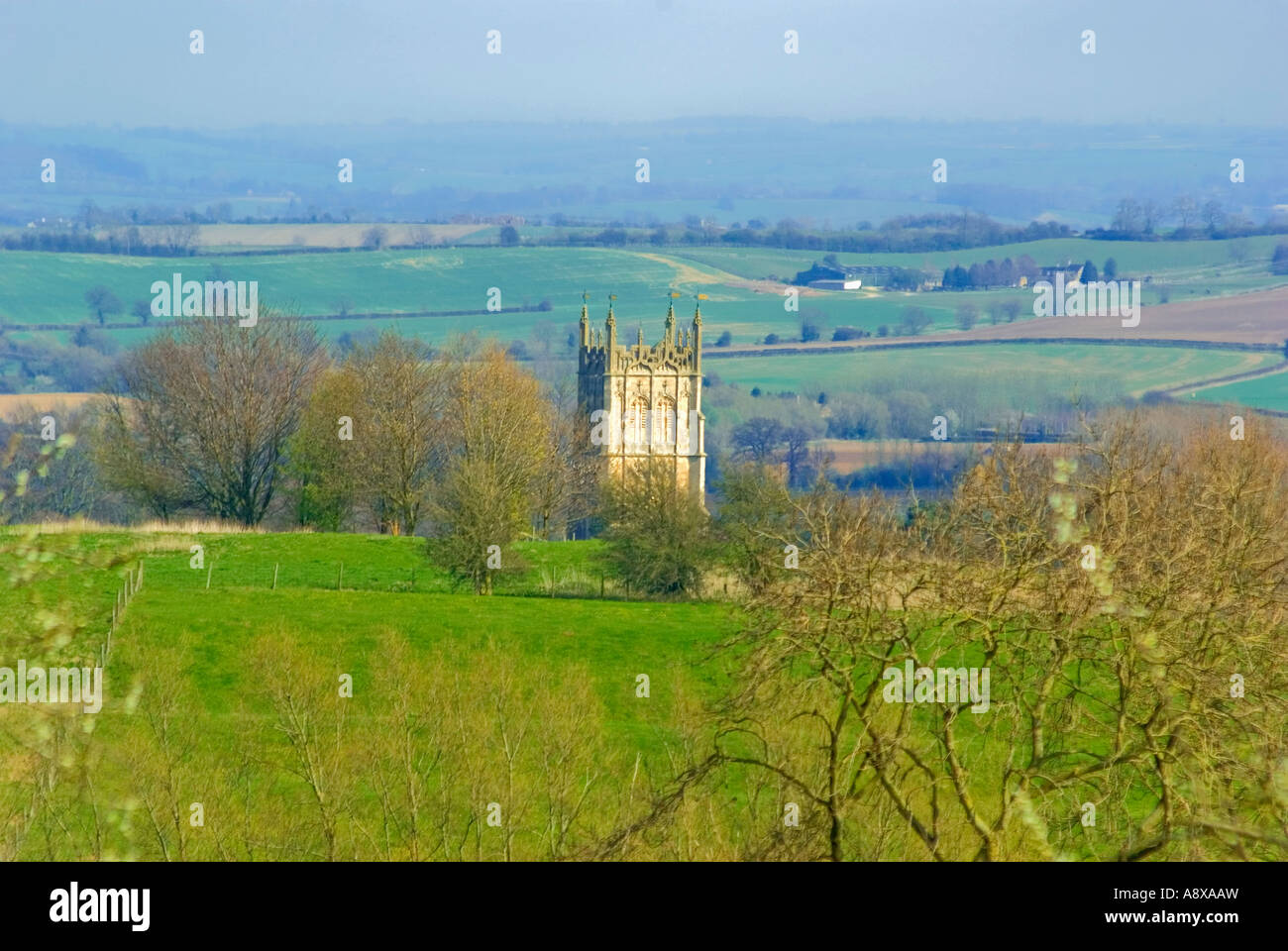chipping camden cotswolds midlands england uk tree trees country ...
