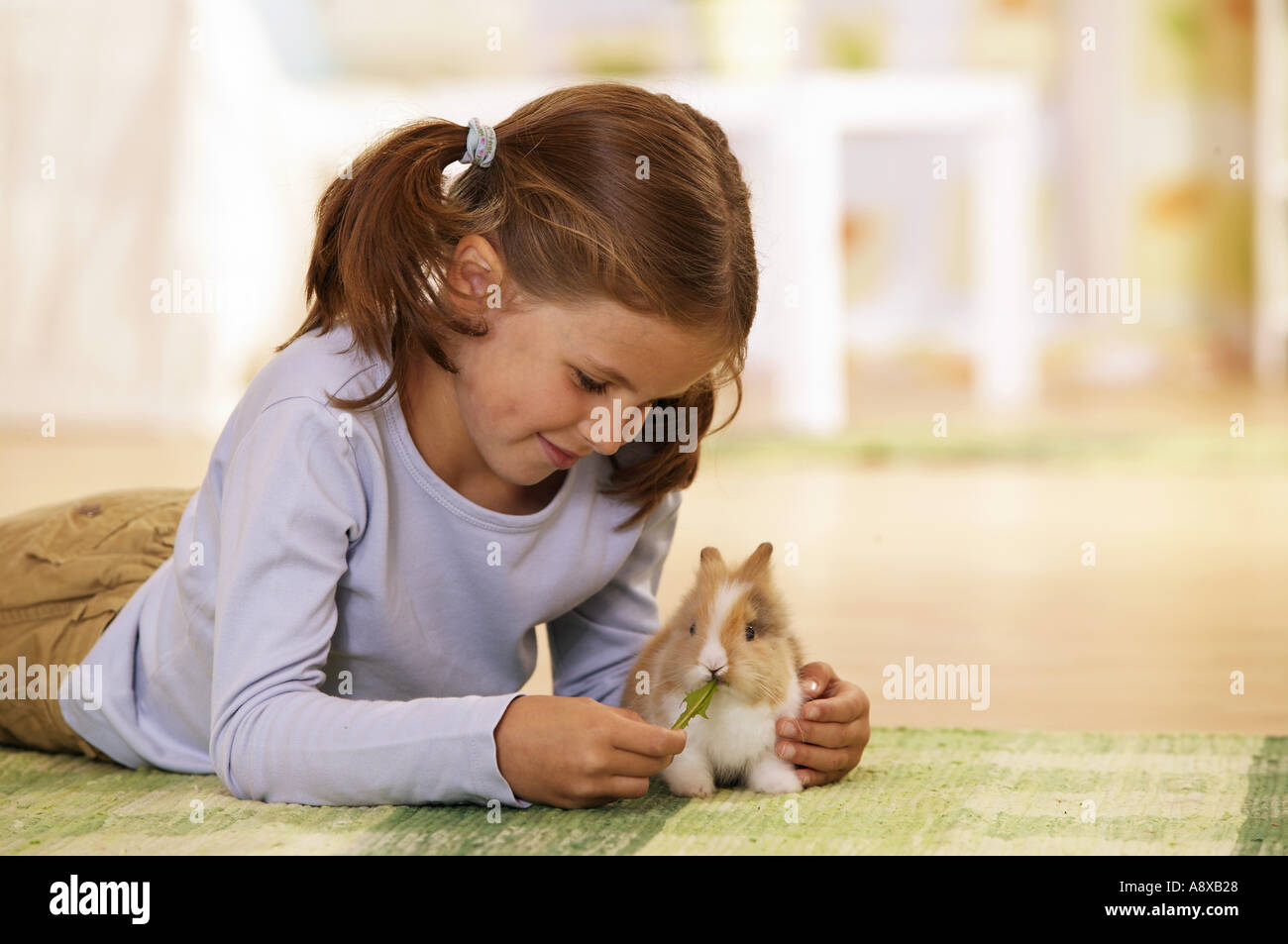 Girl Pygmy Rabbit High Resolution Stock Photography and Images - Alamy