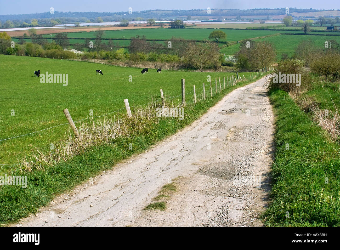 public footpath through countryside and fields Stock Photo - Alamy