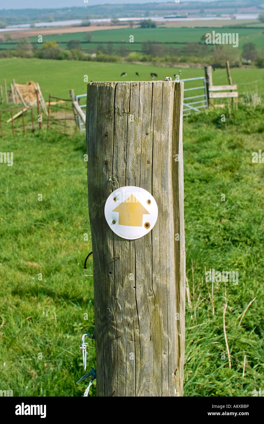 public footpath through countryside and fields Stock Photo - Alamy