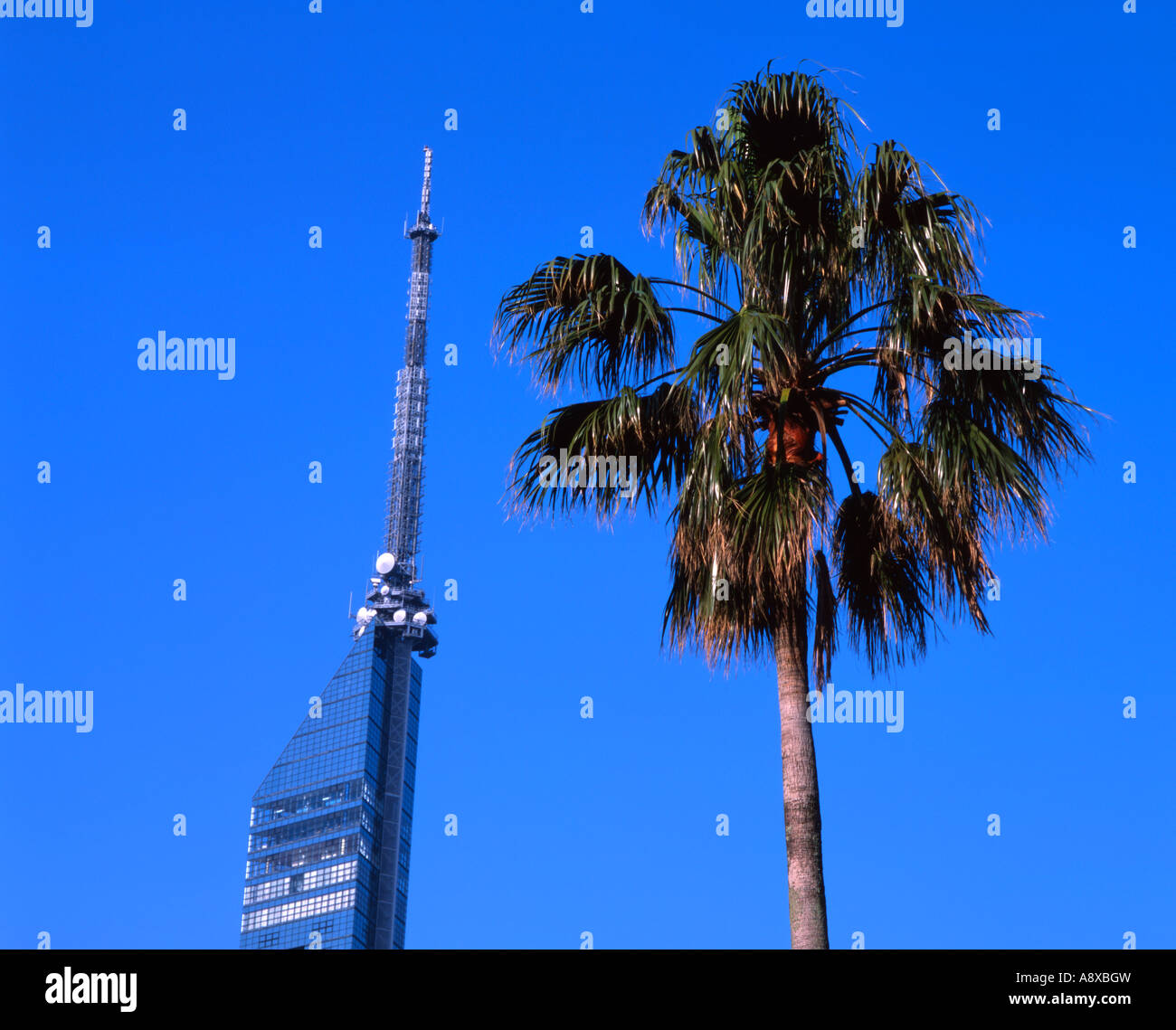 Fukuoka Tower, Momochi Seaside Park, 234 meters high, tallest seaside ...