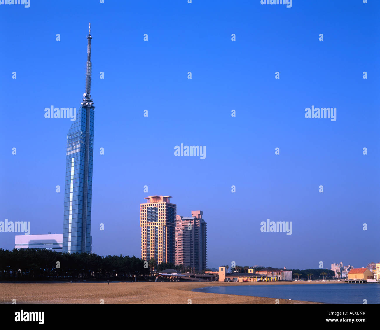 Fukuoka Tower, Momochi Seaside Park, 234 meters high, tallest seaside ...