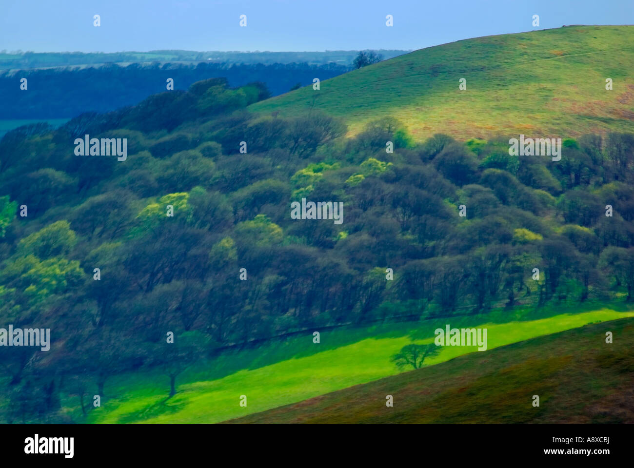long mynd shropshire england uk Stock Photo - Alamy