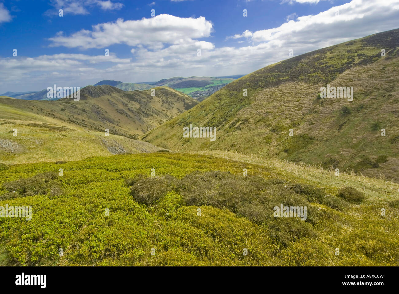 long mynd shropshire england uk Stock Photo - Alamy