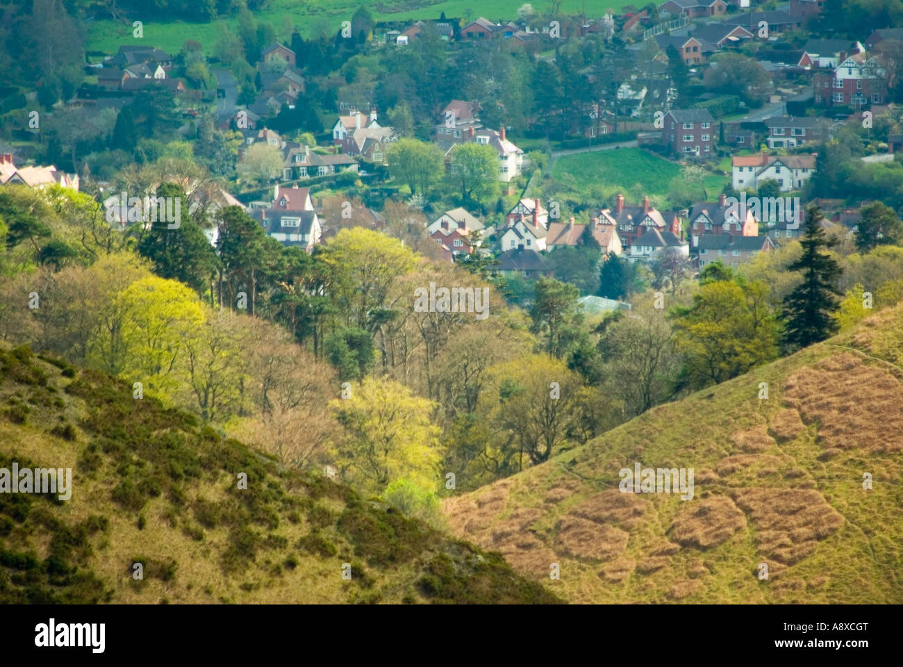 long mynd shropshire england uk Stock Photo - Alamy