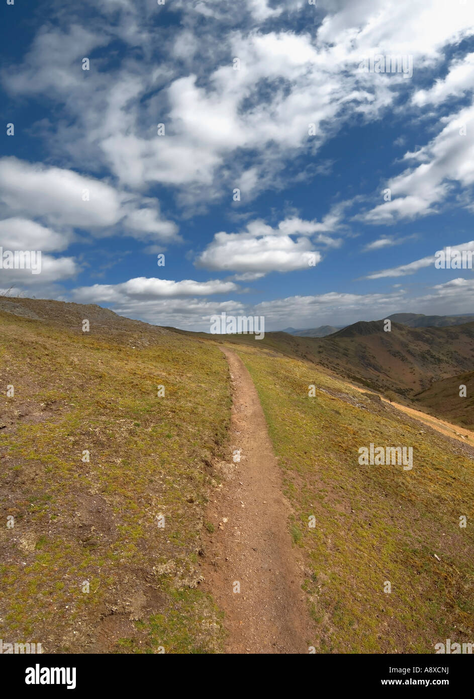 long mynd shropshire england uk Stock Photo - Alamy