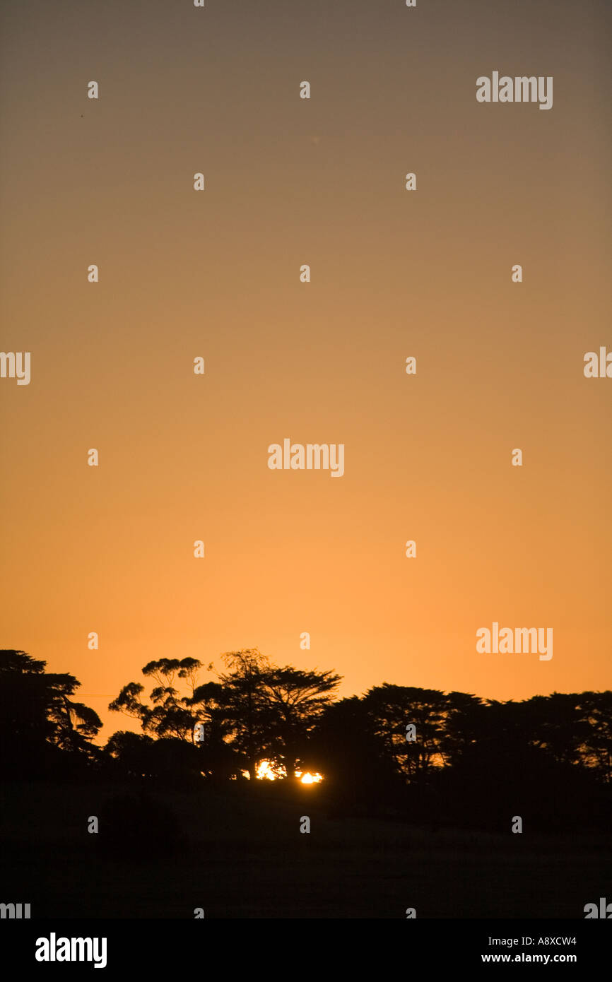 SunRise in Australian Outback Stock Photo - Alamy