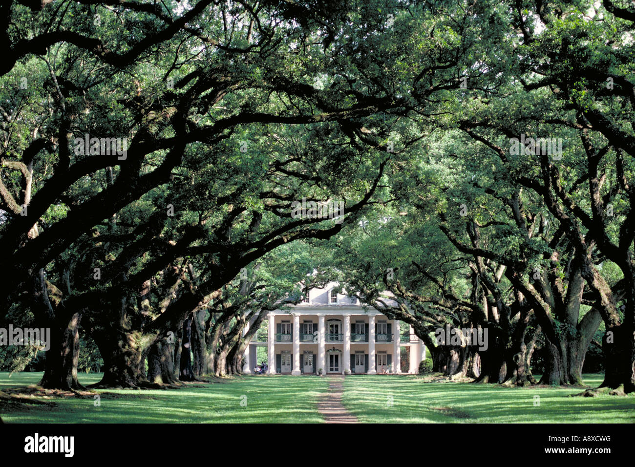 Elk196-4300 Louisiana Vacherie Oak Alley Plantation 1837-1839 Stock ...