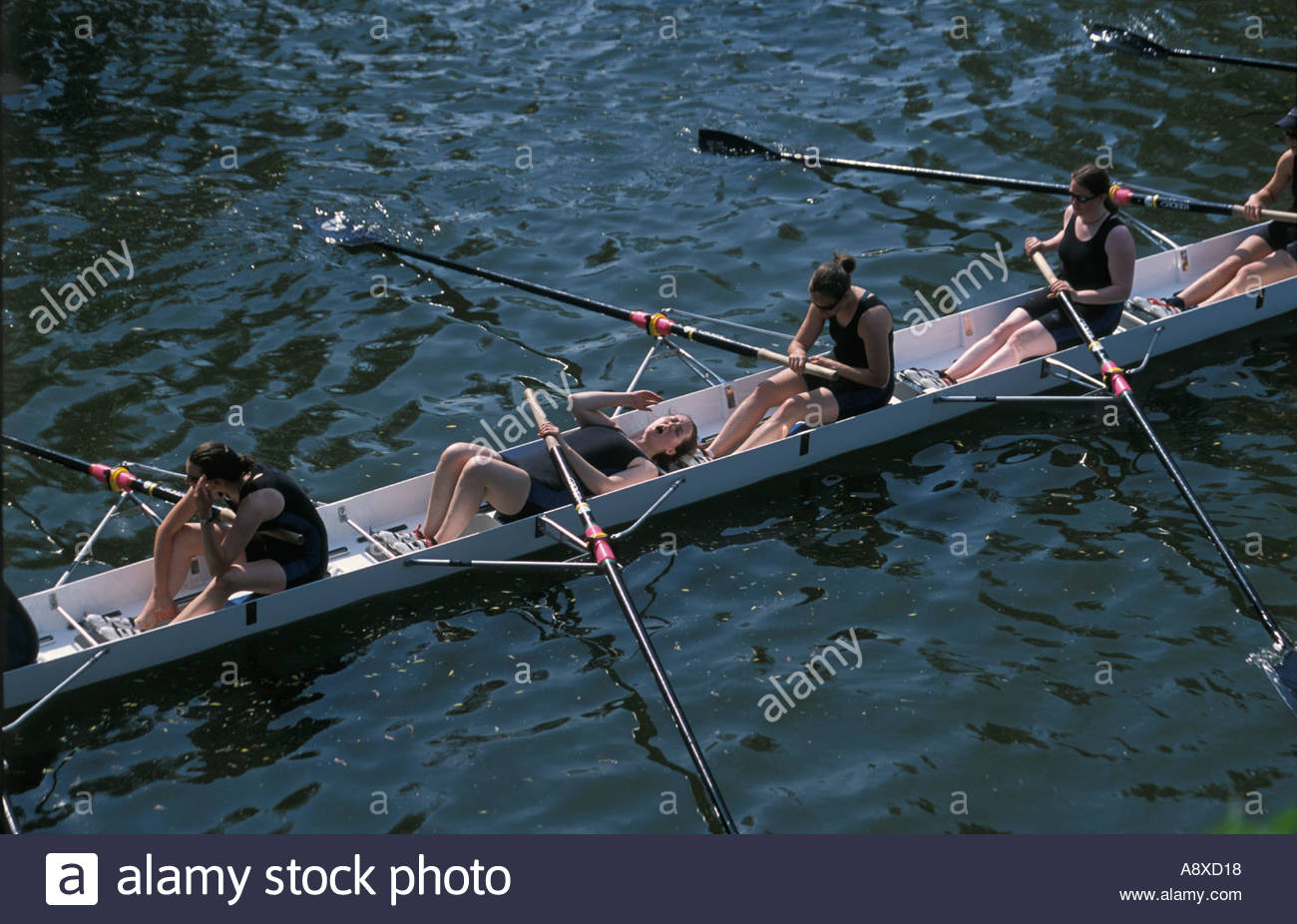 Defeat Stock Photos & Defeat Stock Images - Alamy