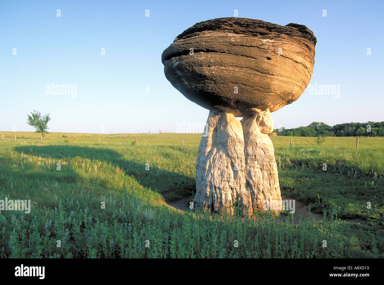 Elk269 2390 Kansas Mushroom Rock State Park Stock Photo - Alamy