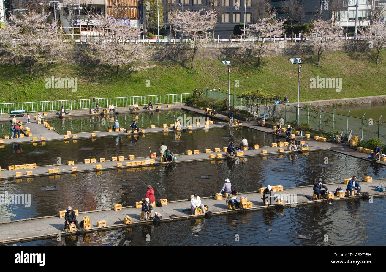 Urban fishing Tokyo Japan Stock Photo - Alamy