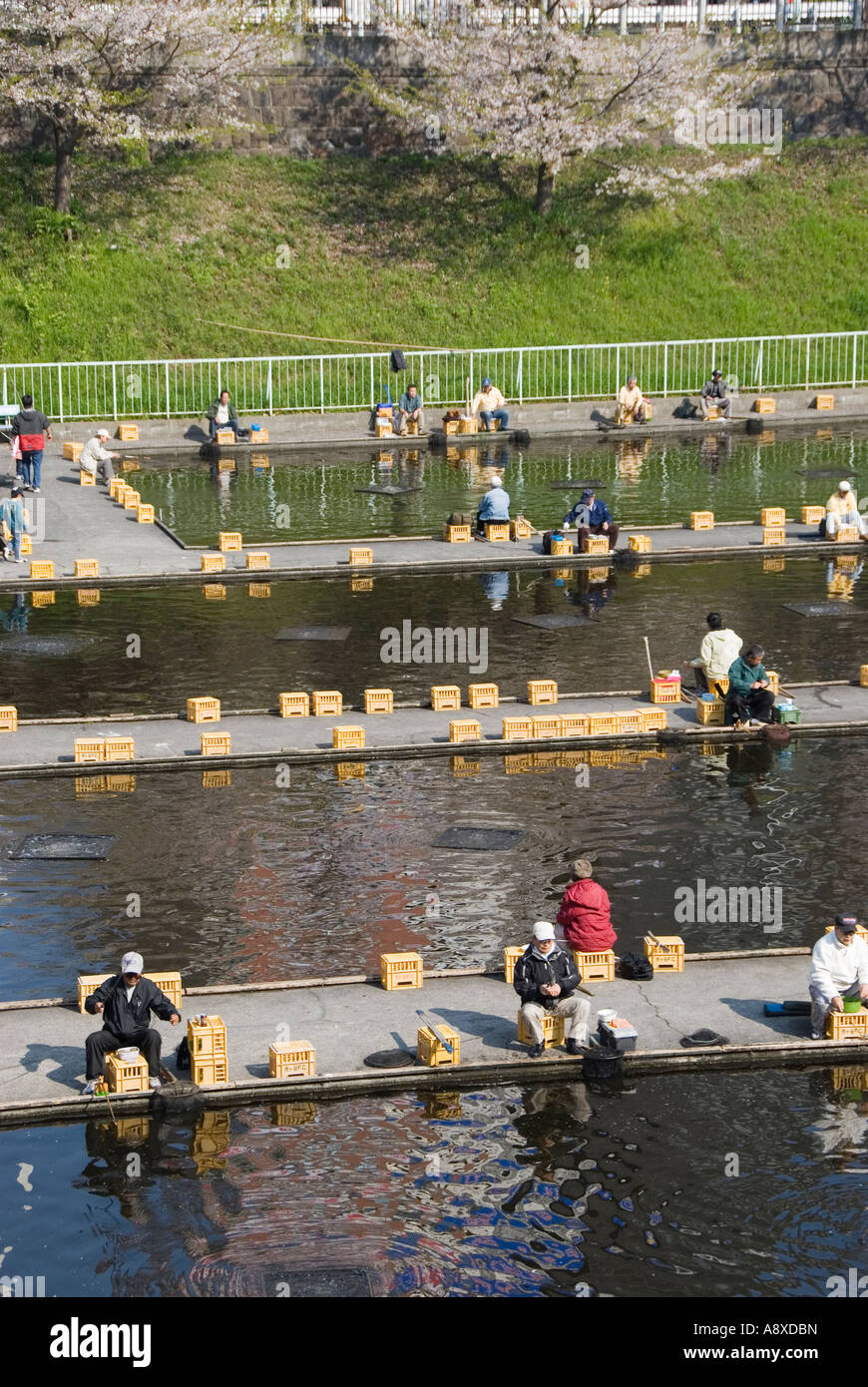 Urban fishing in Tokyo Japan Stock Photo - Alamy