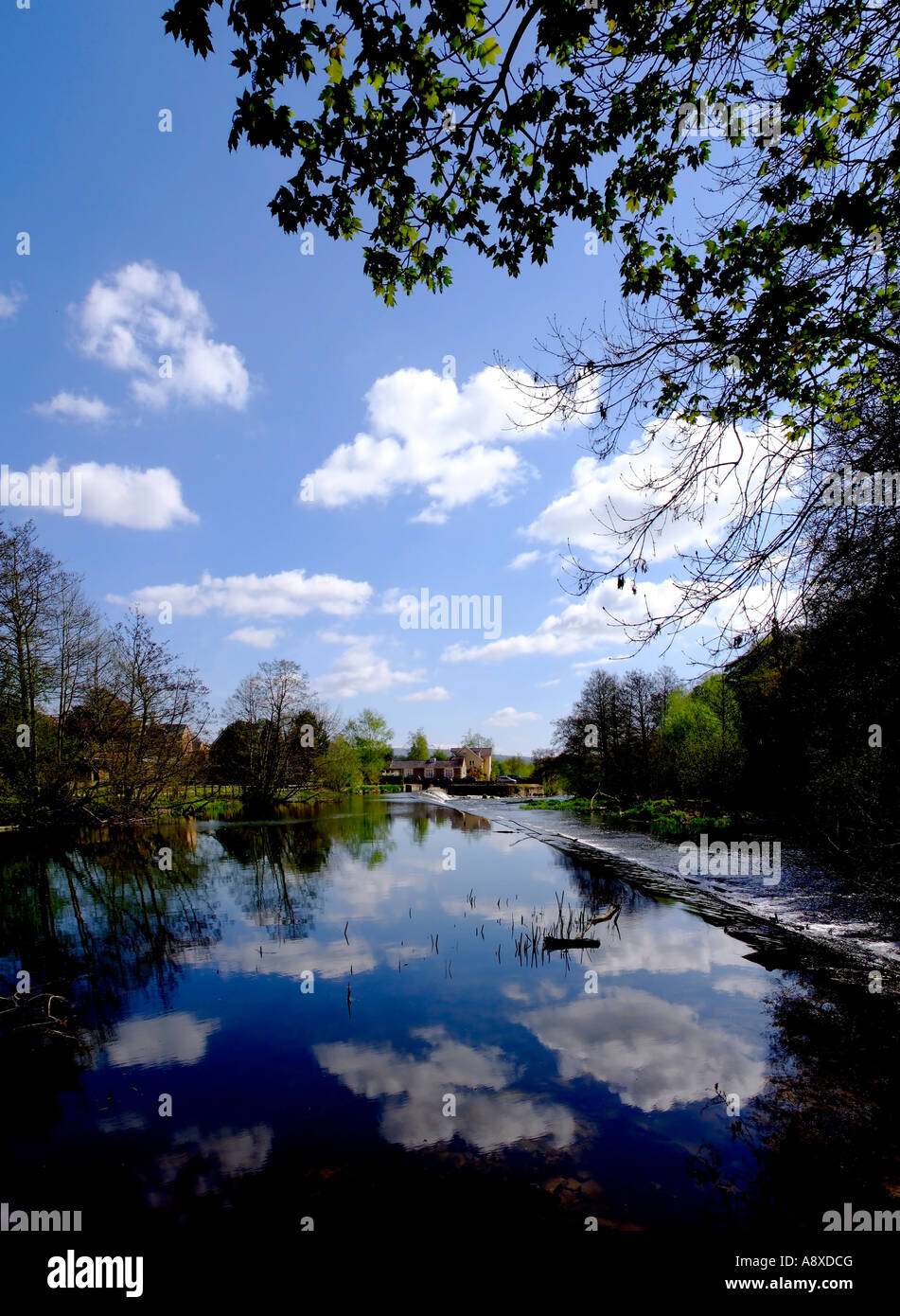 river teme ludlow shropshire england uk Stock Photo - Alamy