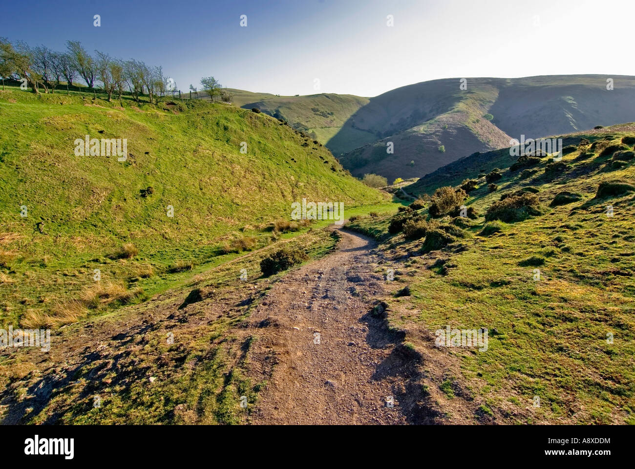 long mynd shropshire england uk Stock Photo - Alamy