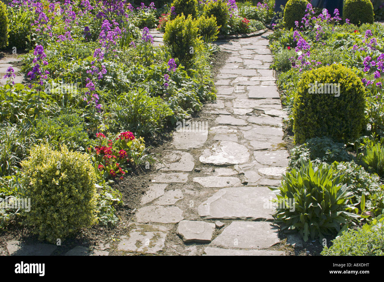 Paving slabs through garden hi-res stock photography and images - Alamy