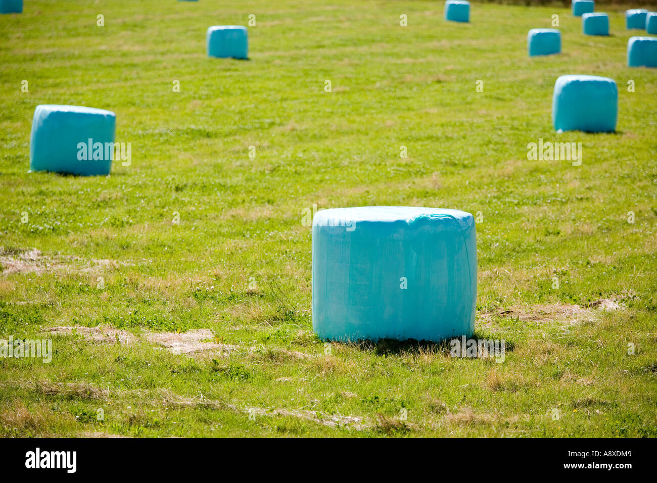 Tasmania farming hi-res stock photography and images - Alamy