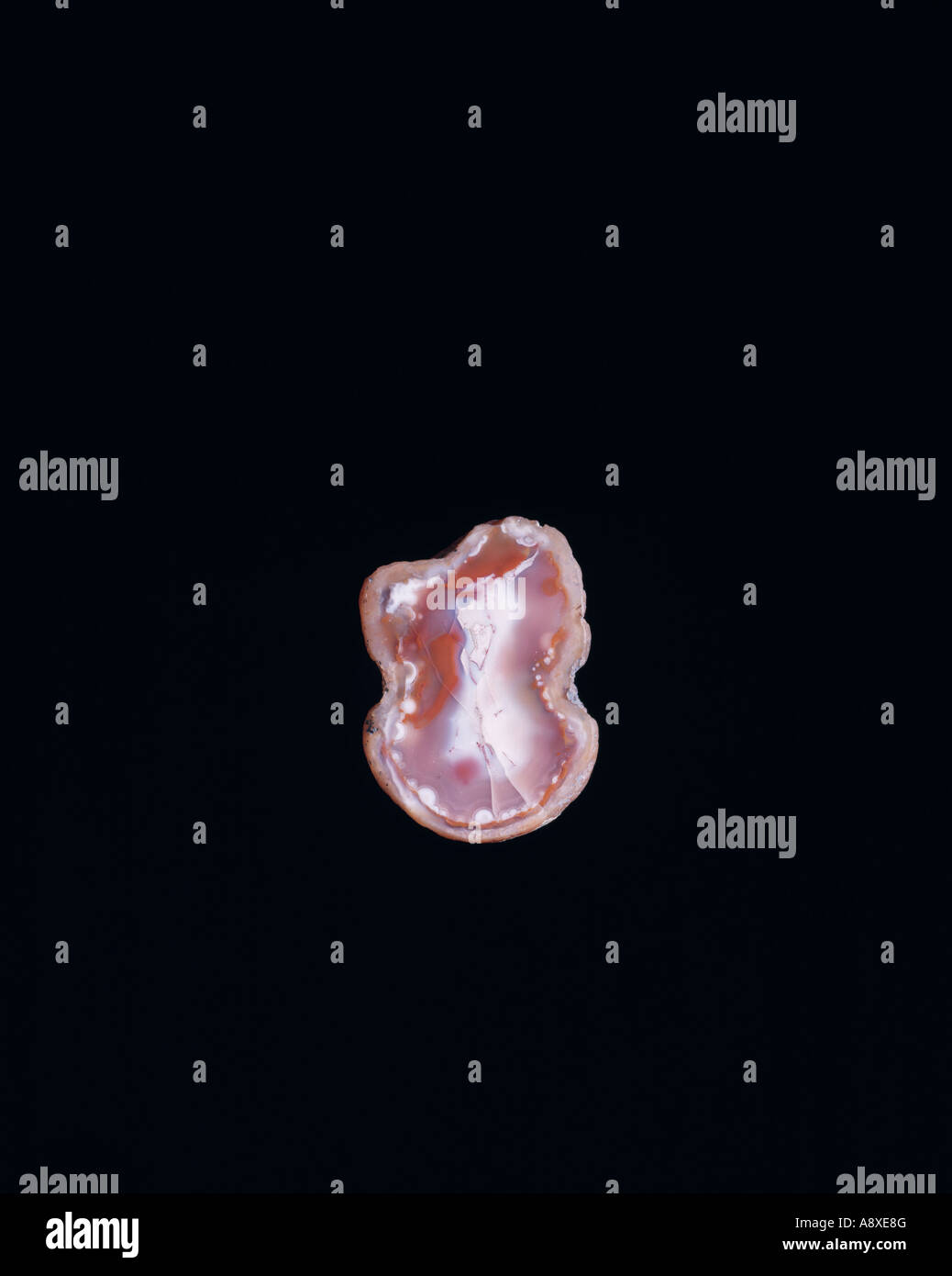 Agate section hi-res stock photography and images - Alamy
