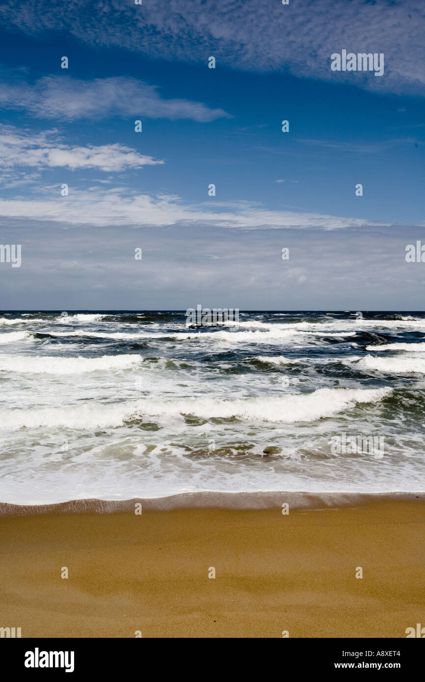 Trial Harbour in Tasmania Stock Photo - Alamy