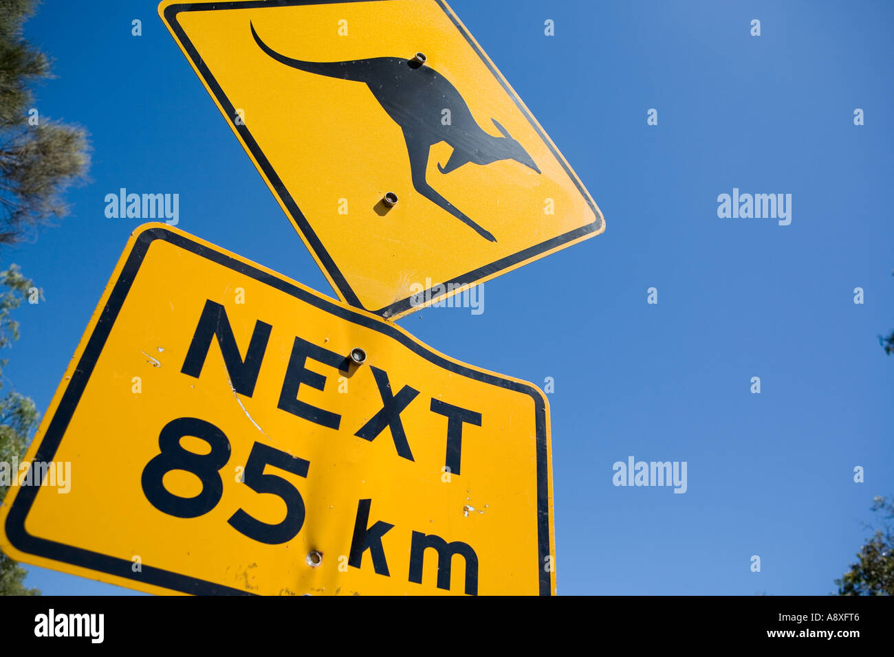 Kangaroo Sign Next 85 km Stock Photo - Alamy