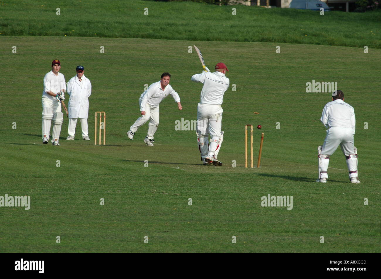 Flying stumps hi-res stock photography and images - Alamy