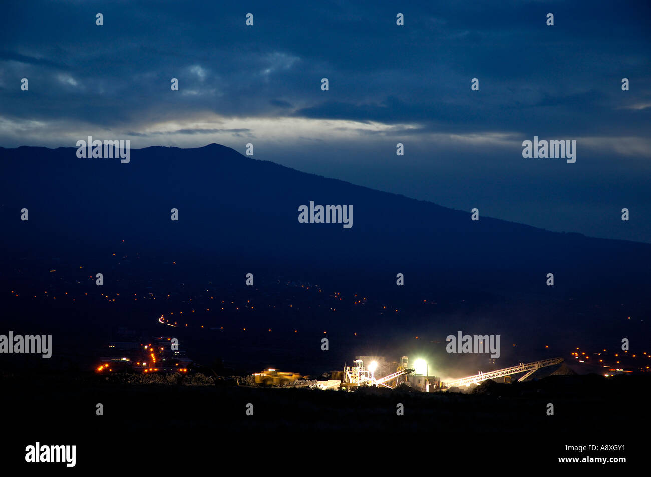Pinetrees and the O oma project at sunrise Hualalai volcano The Big ...