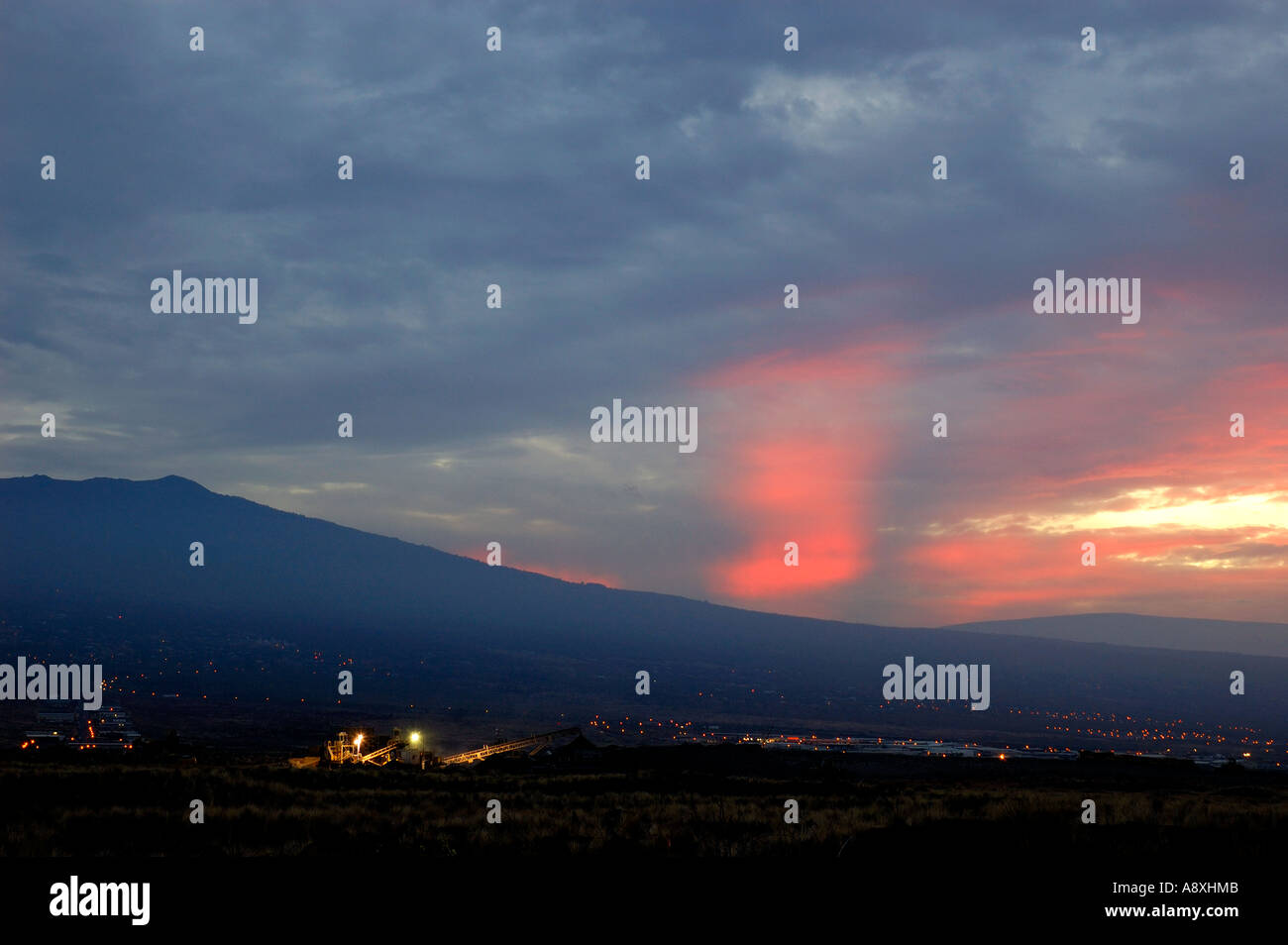 Pinetrees and the O oma project at sunrise Hualalai volcano and Mauna ...