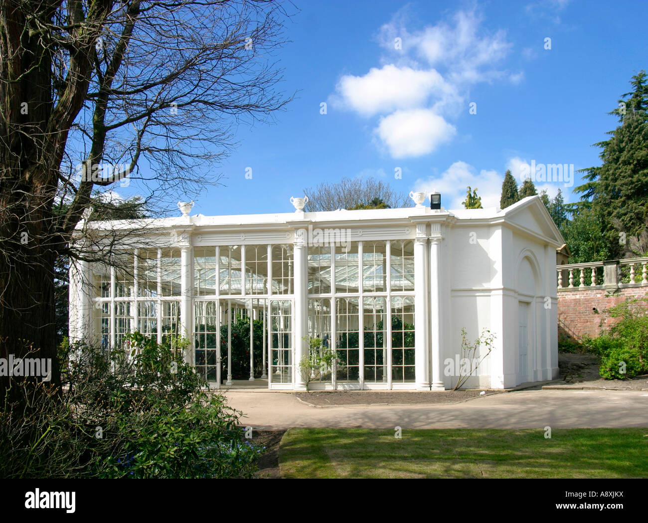 Camellia house, wollaton hall hi-res stock photography and images - Alamy