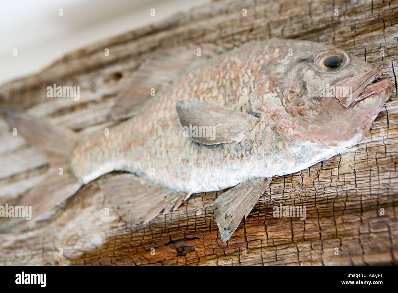 Scales hang hi-res stock photography and images - Alamy