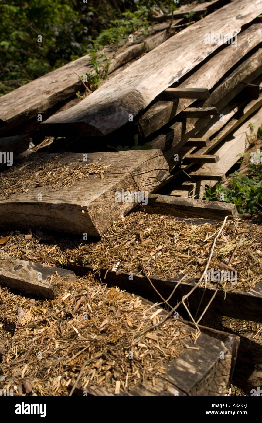 Sawn into planks or boards hi-res stock photography and images - Alamy