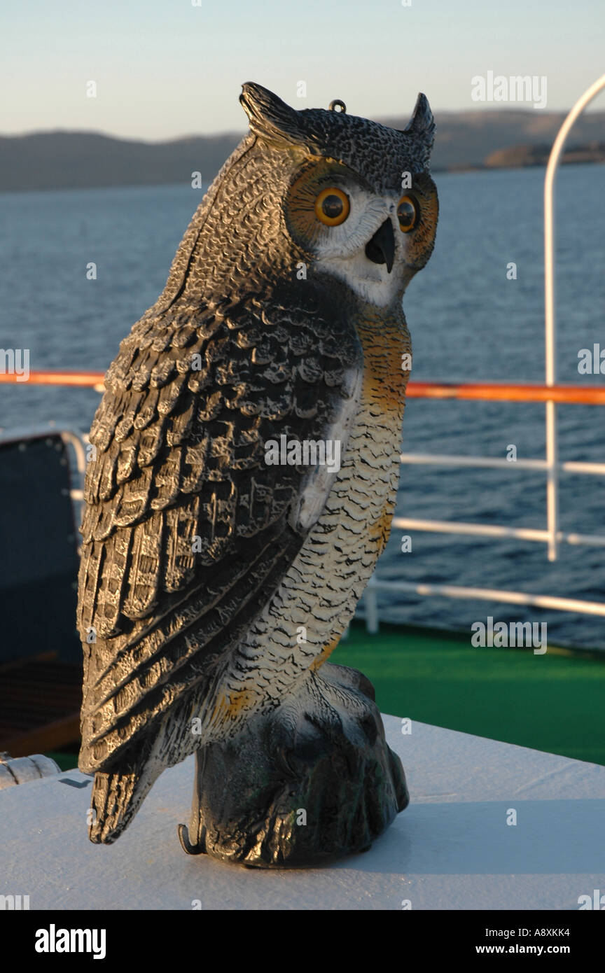 Princess cruise ship mascot hi-res stock photography and images - Alamy