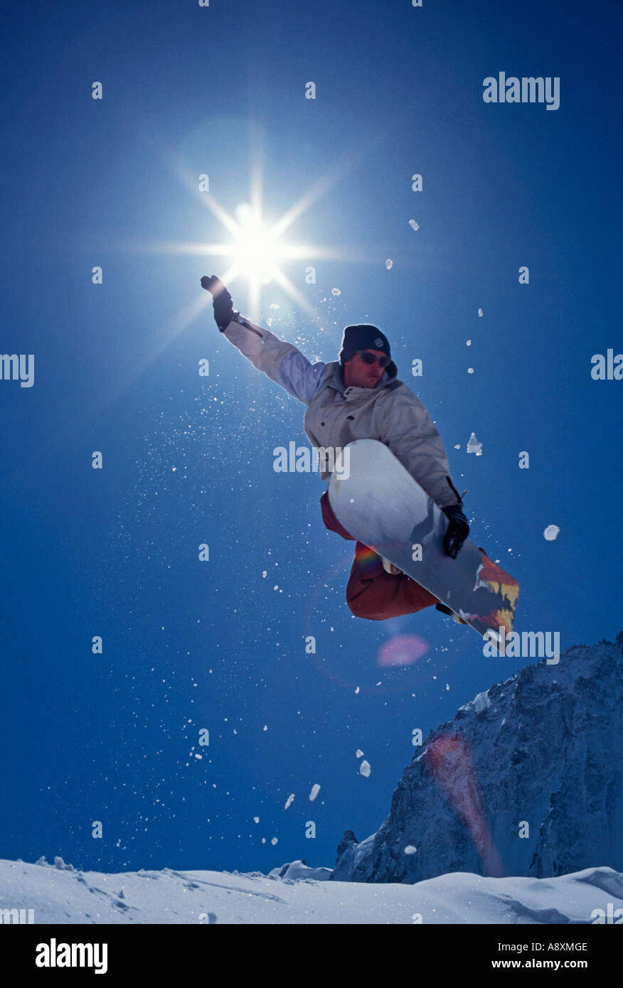 Grab the tail hi-res stock photography and images - Alamy