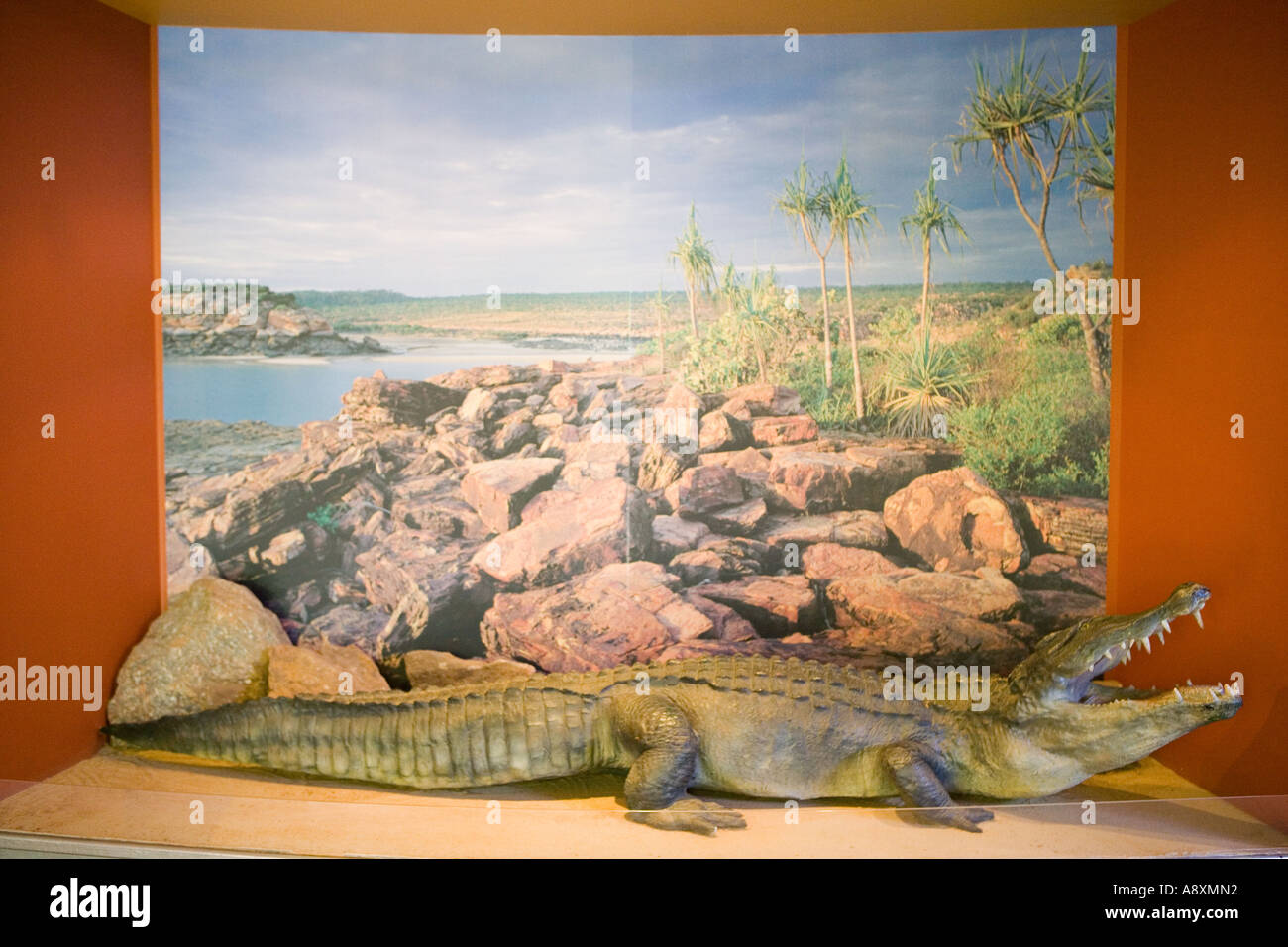 False Crocodile High Resolution Stock Photography and Images - Alamy