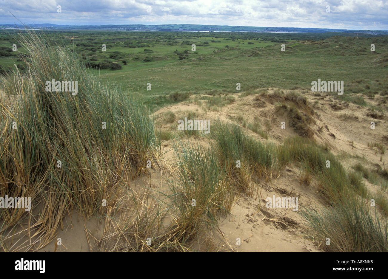 Braunton Burrows National Nature Reserve and UNESCO Biosphere Reserve ...