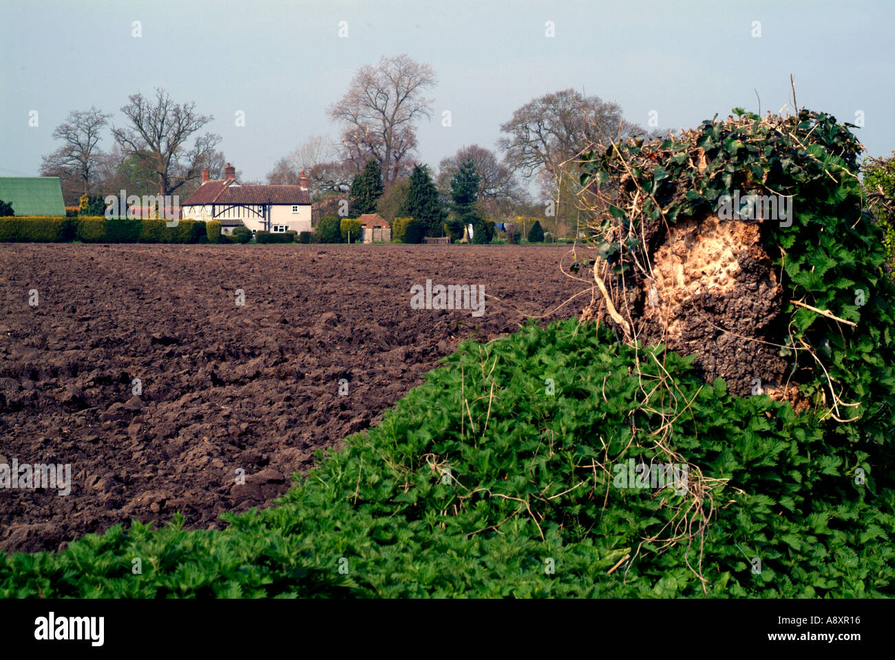 country farm house Suffolk Stock Photo - Alamy
