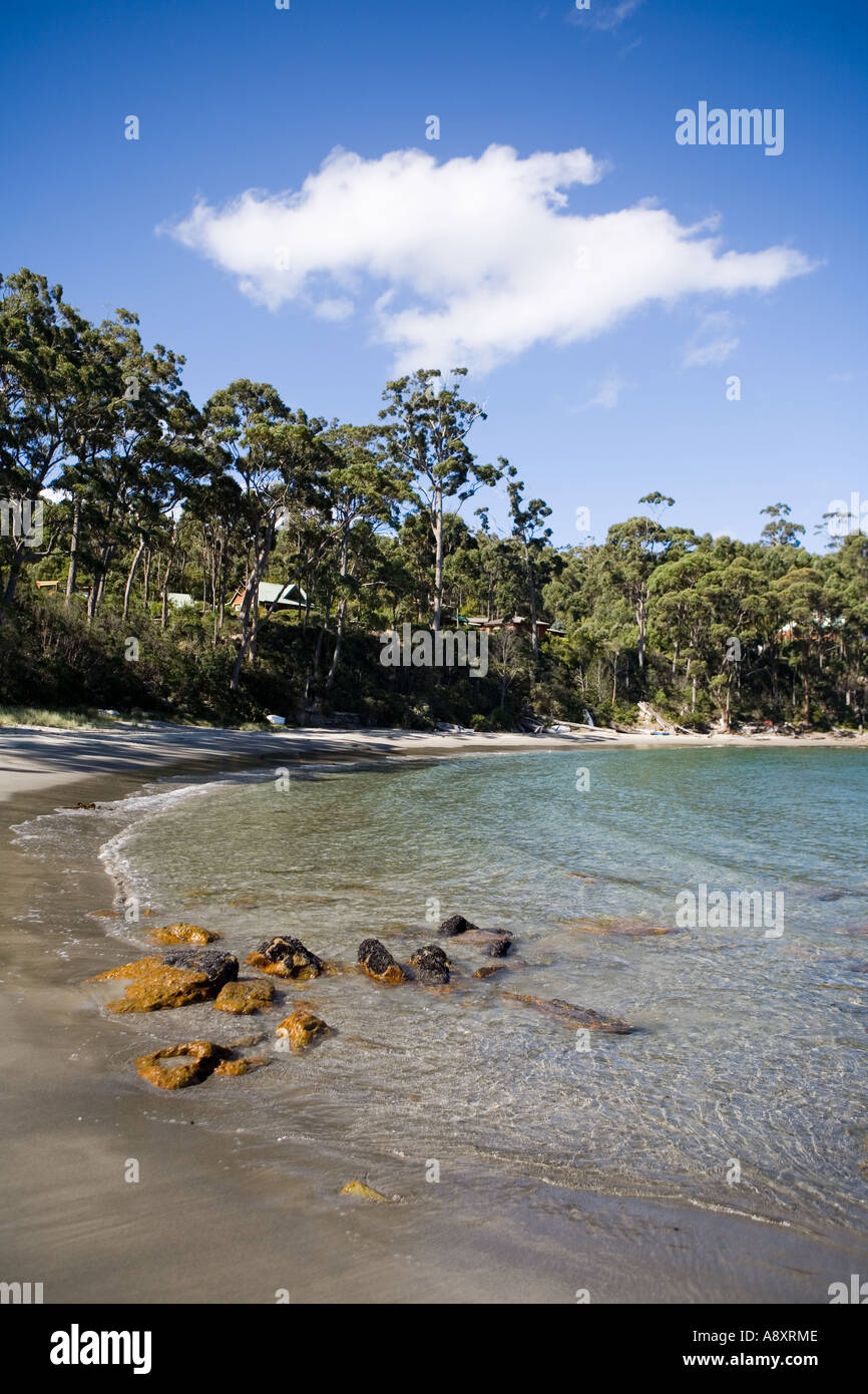 Tessellated Pavement Beach in Tasmania Peninsula Stock Photo - Alamy