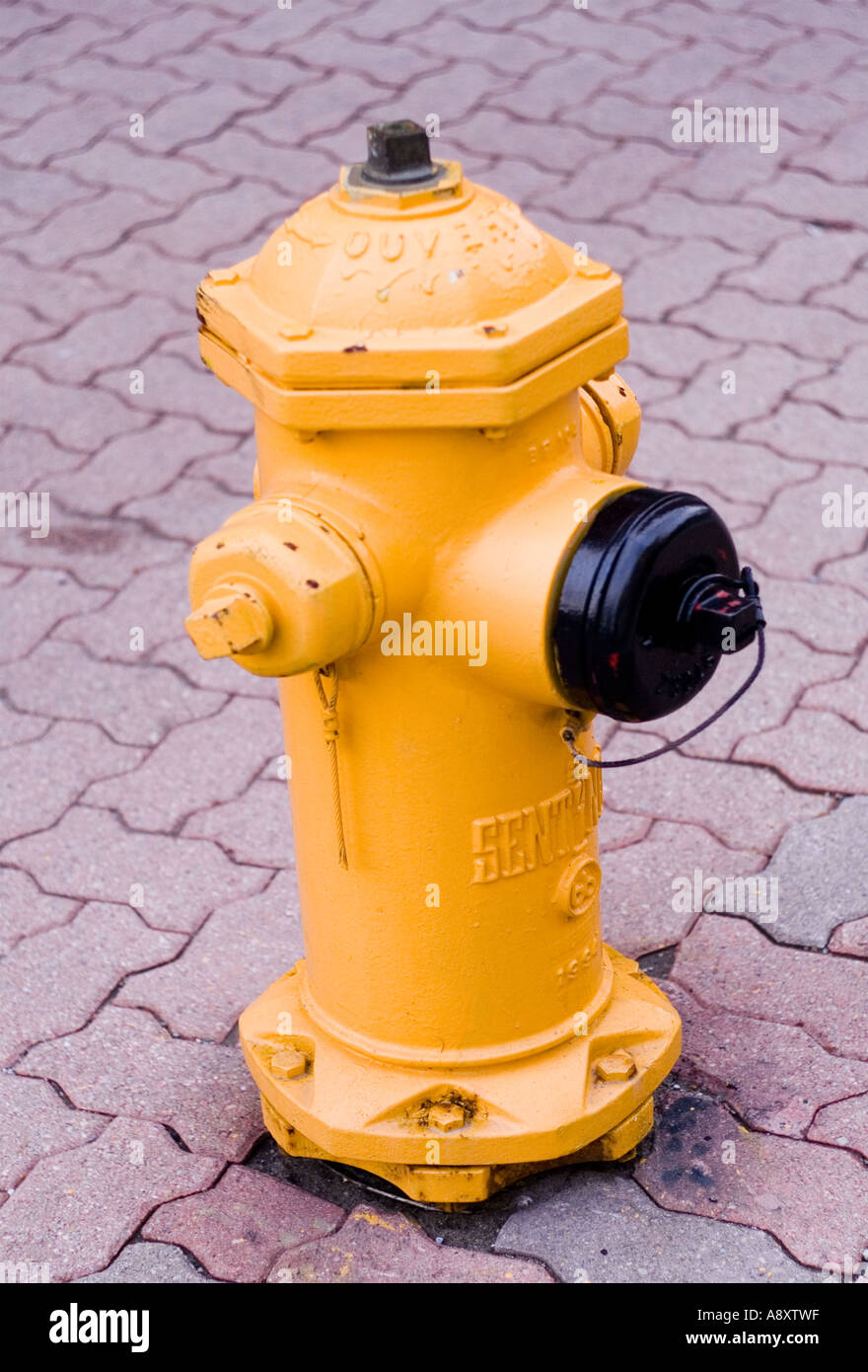 Water hyd hi-res stock photography and images - Alamy