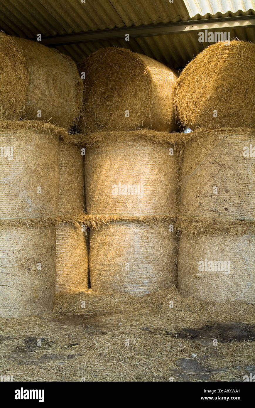 Bails of hay, straw on farm Stock Photo - Alamy