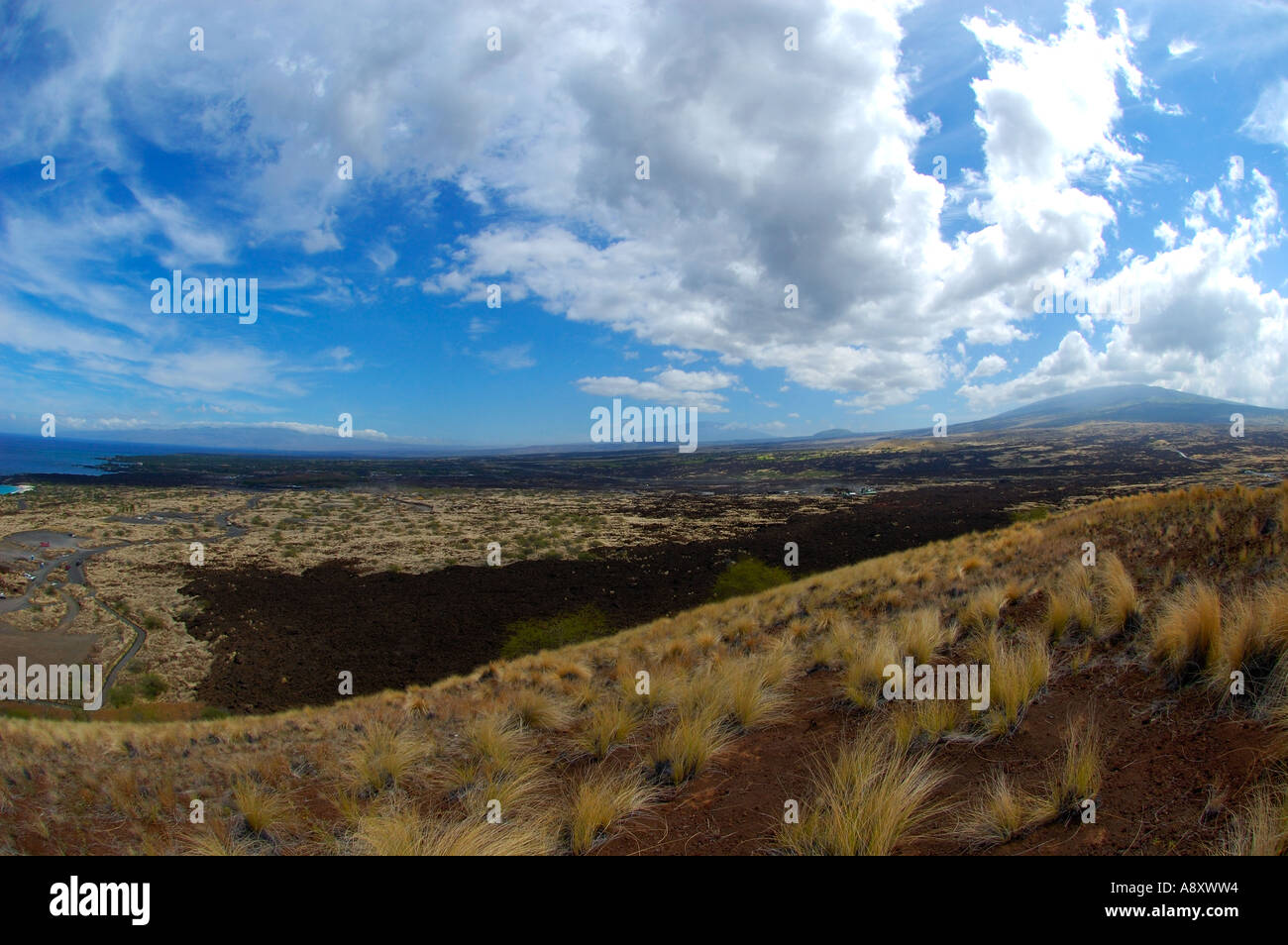 Volcan Kohala Big Island Hawaiʻi Volcanoes Kailani Tours