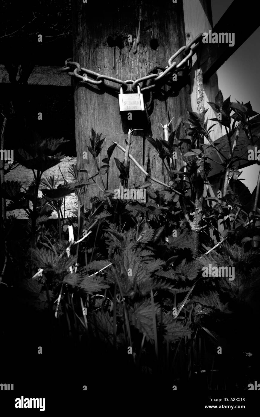 Foreboding gate hi-res stock photography and images - Alamy