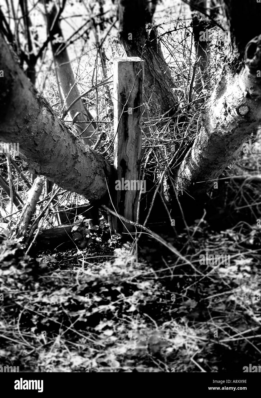 Ownership stake hi-res stock photography and images - Alamy