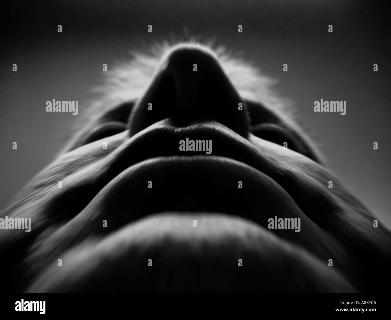 Unusual expressions hi-res stock photography and images - Alamy