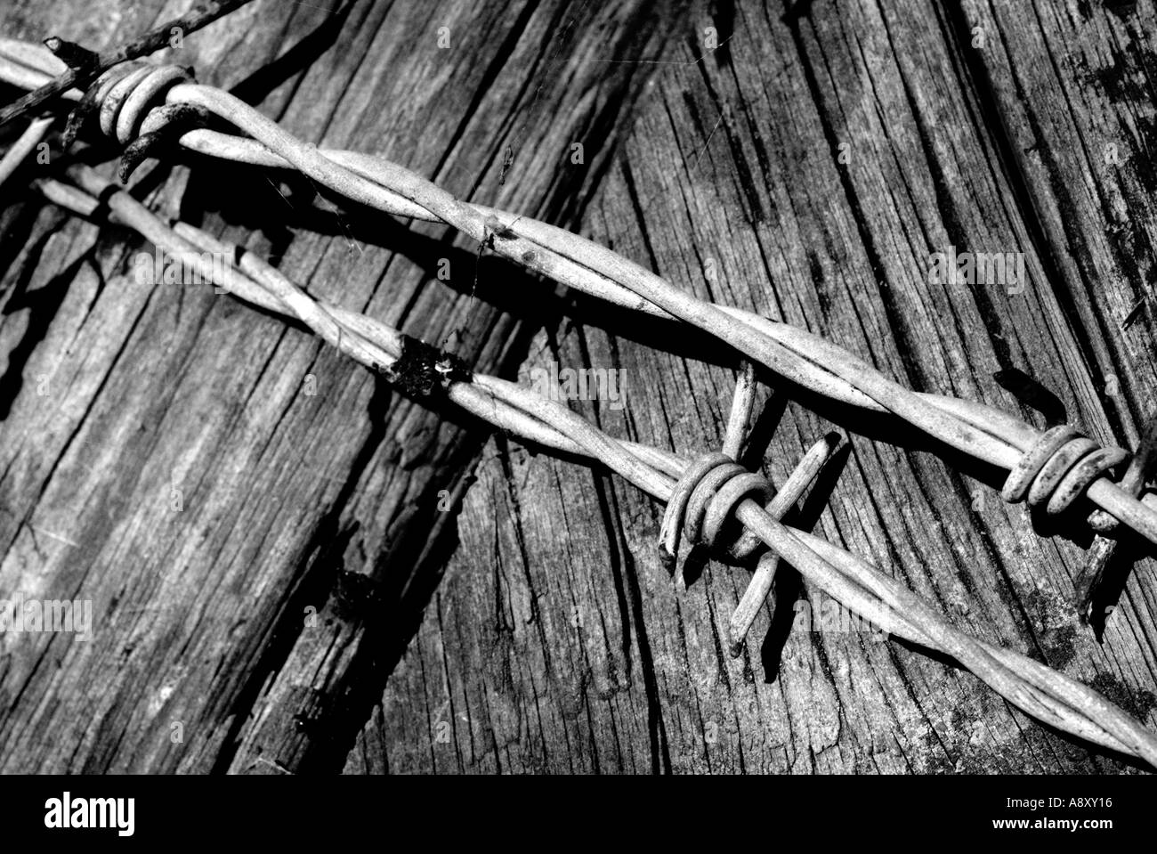 Farming magazine cover hi-res stock photography and images - Alamy