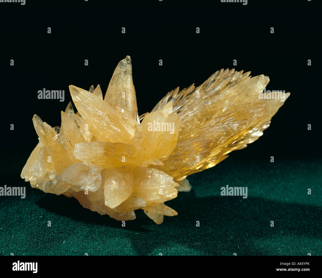 Scalenohedral crystal hi-res stock photography and images - Alamy