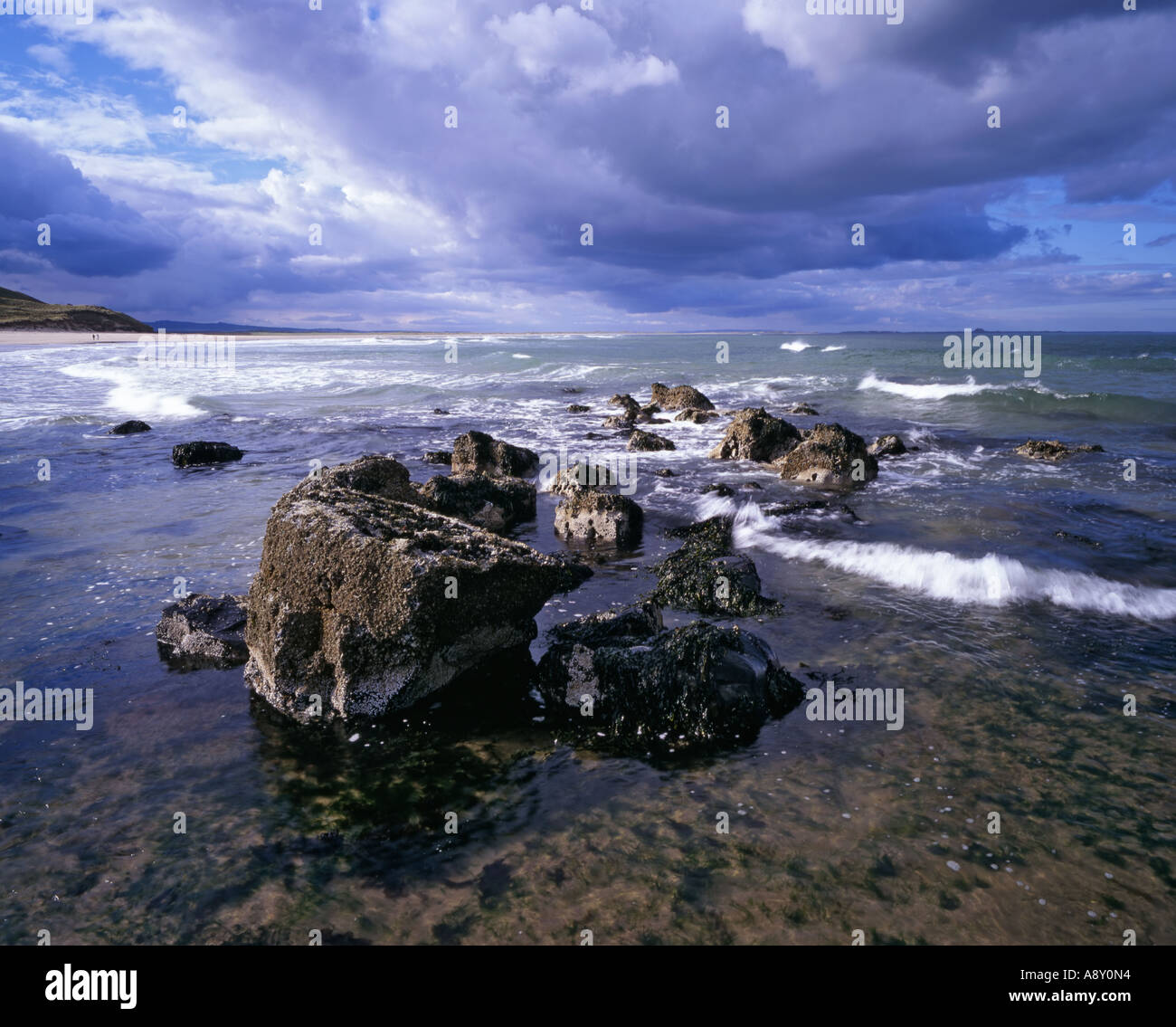 Rising tide and rocks, Budle Bay, Northumberland, England Stock Photo ...